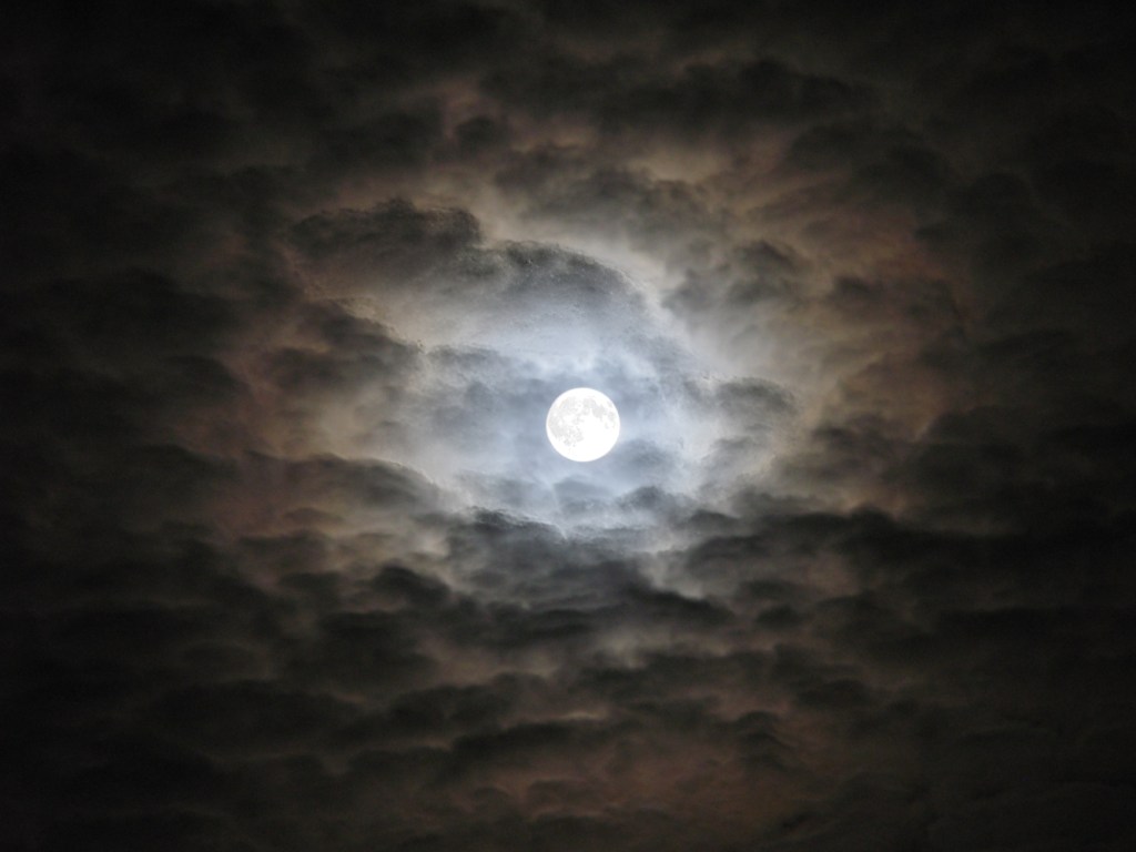 PCLD13: Quickening Moon - The Druid Network