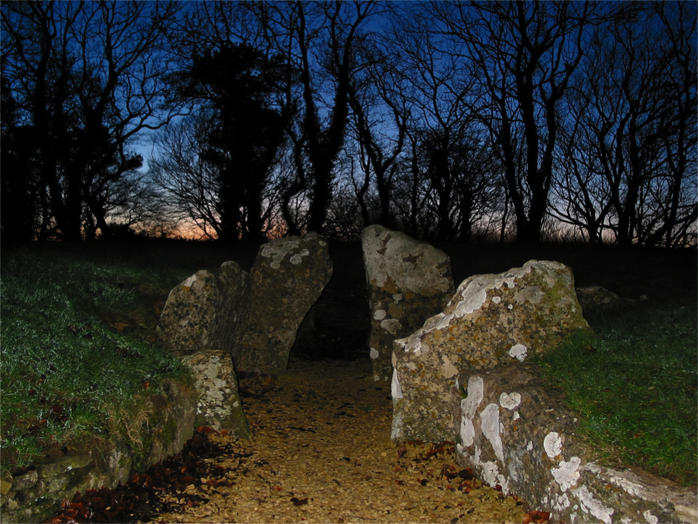 The Druid Network – Informing, Inspiring and Facilitating