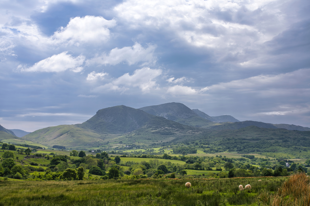 The Druid Network – Informing, Inspiring and Facilitating