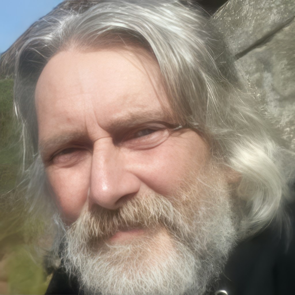 The Constitution of The Druid Network - The Druid Network