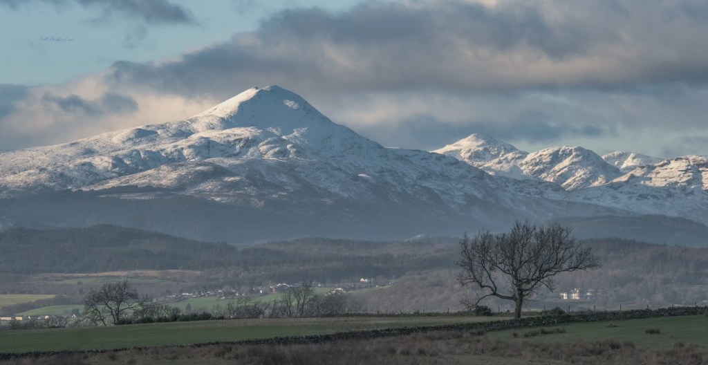 Home - The Druid Network